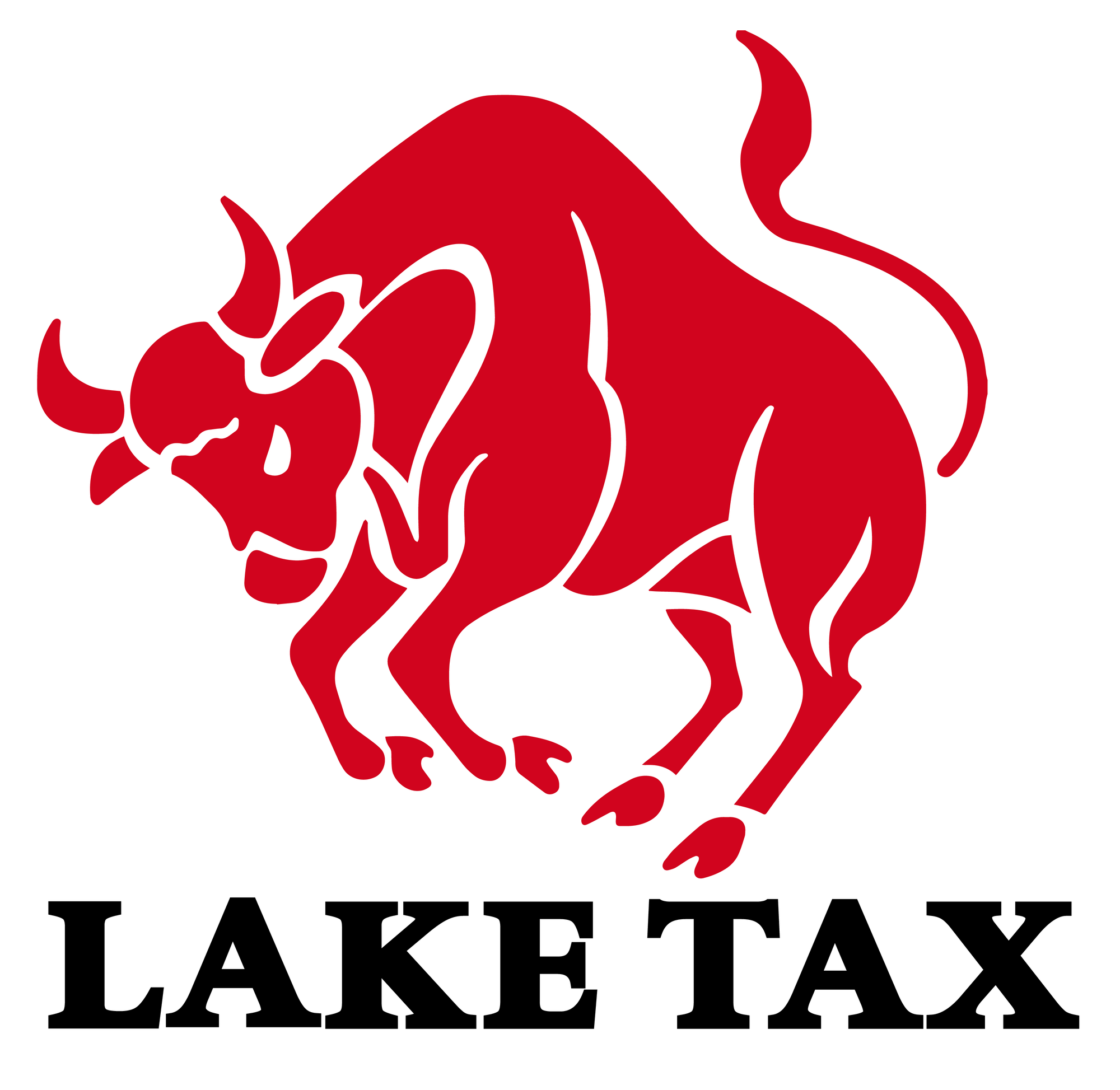 Lake Tax | Minneapolis, MN 55407